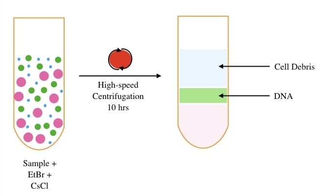 Nucleic Acid Extractor - Invitroal Biotechnology
