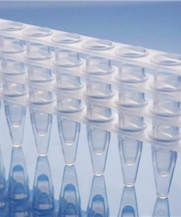 IVD Instruments Reagents Self-Test Kits- Invitroal Biotechnology